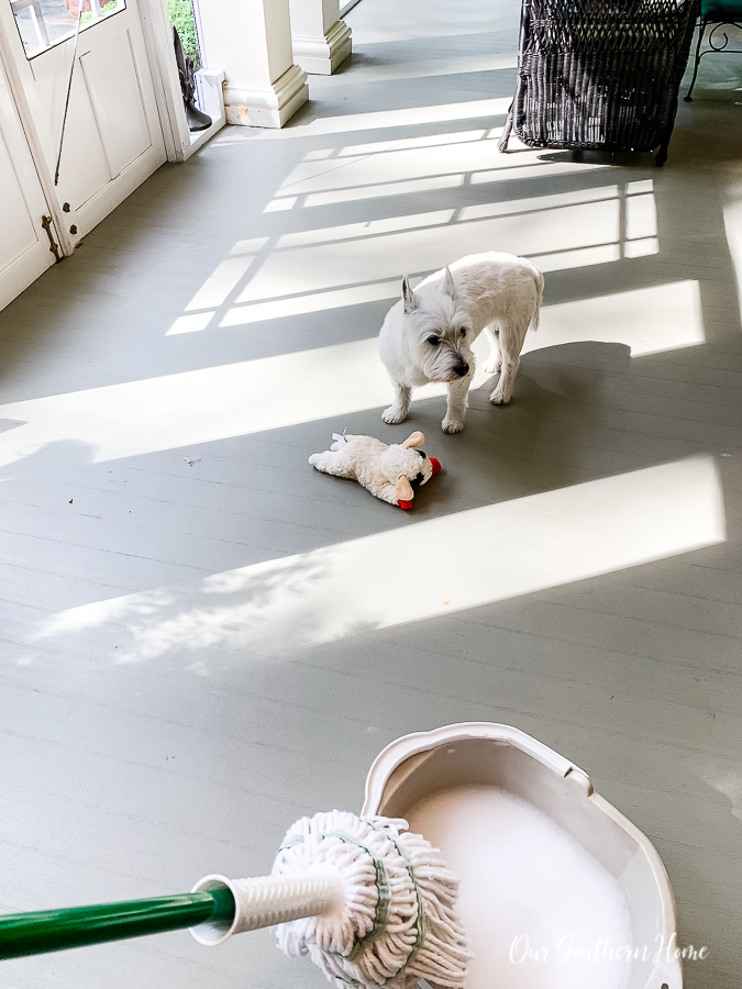 Screened Porch Cleaning Tips - Our Southern Home