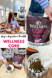 Dog's Digestive Health - Our Southern Home